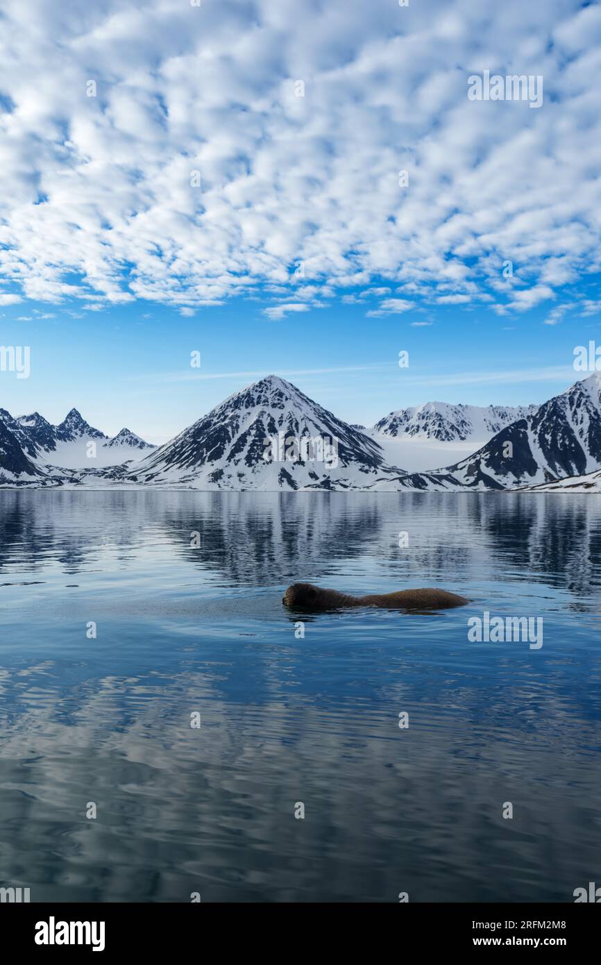 Spitzbergen svalbard arctic circle hi-res stock photography and images ...