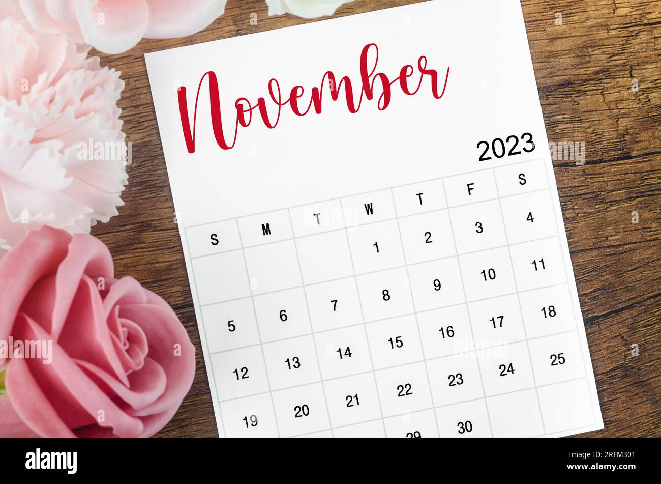 November 2023 Monthly calendar for 2023 year with pink rose on wooden ...