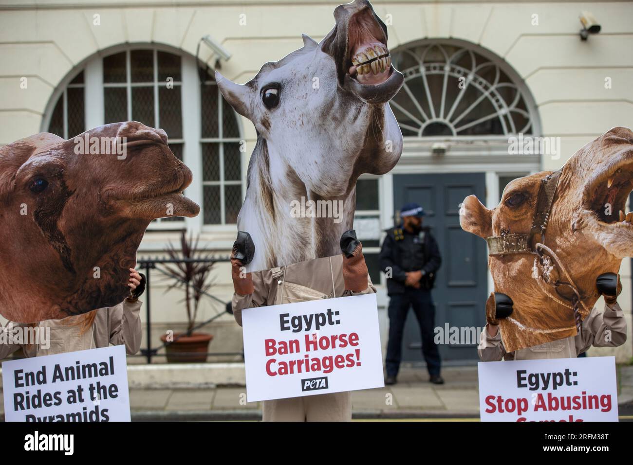 London, England, UK. 4th Aug, 2023. PETA activists with horse and camel ...
