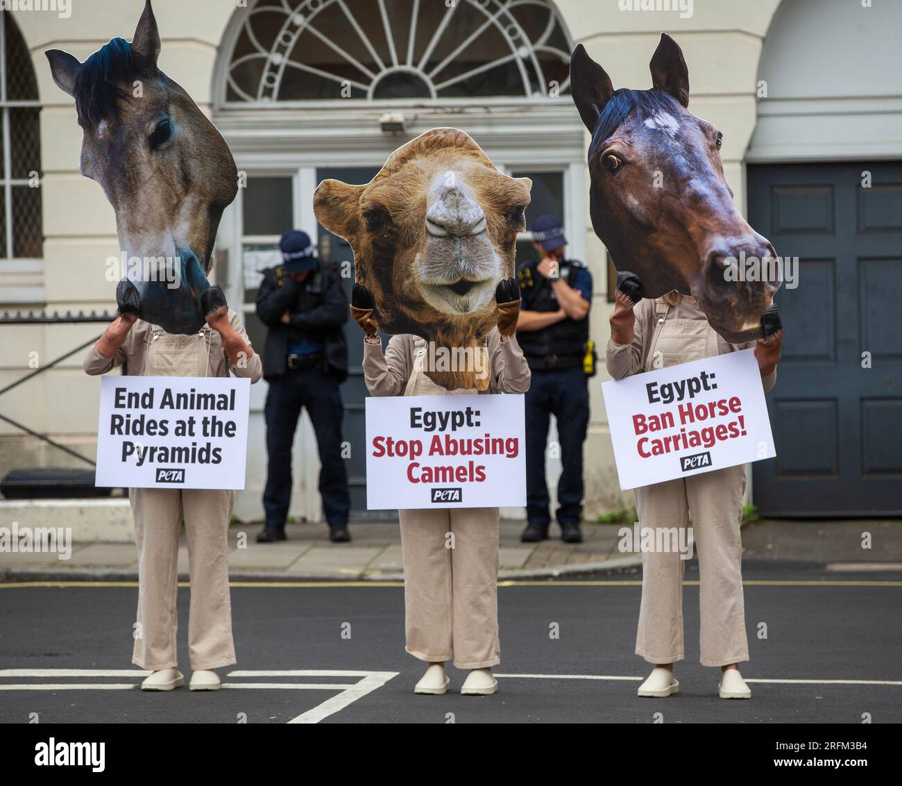 London, England, UK. 4th Aug, 2023. PETA activists with horse and camel ...