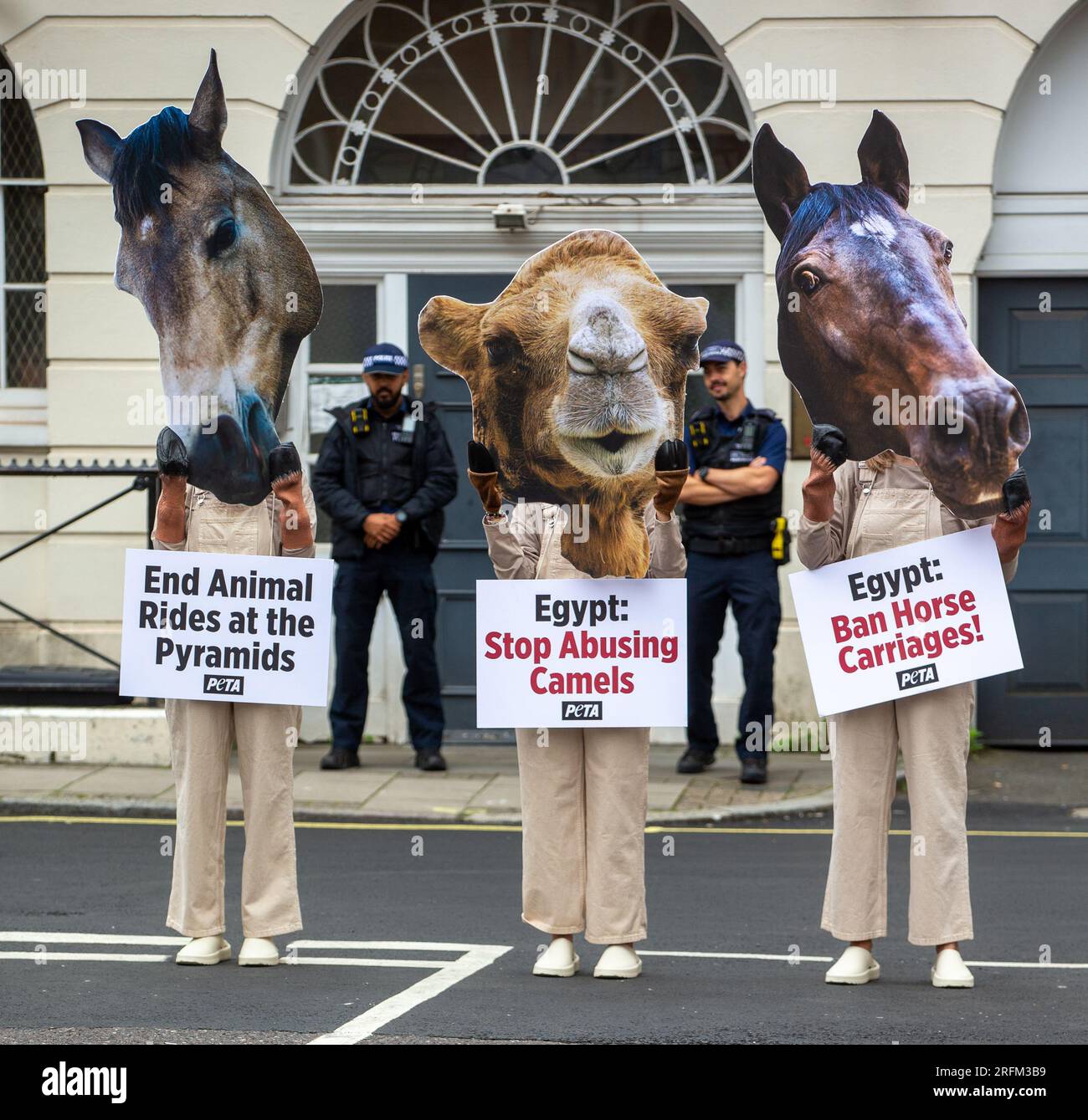 London, England, UK. 4th Aug, 2023. PETA activists with horse and camel ...