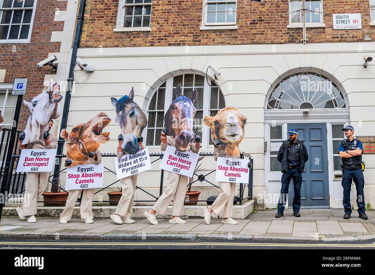 London, UK. 4th Aug, 2023. PETA supporters dressed as horses and camels ...