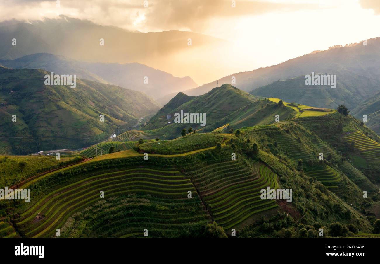 terrace rice field in Vietnam Stock Photo - Alamy