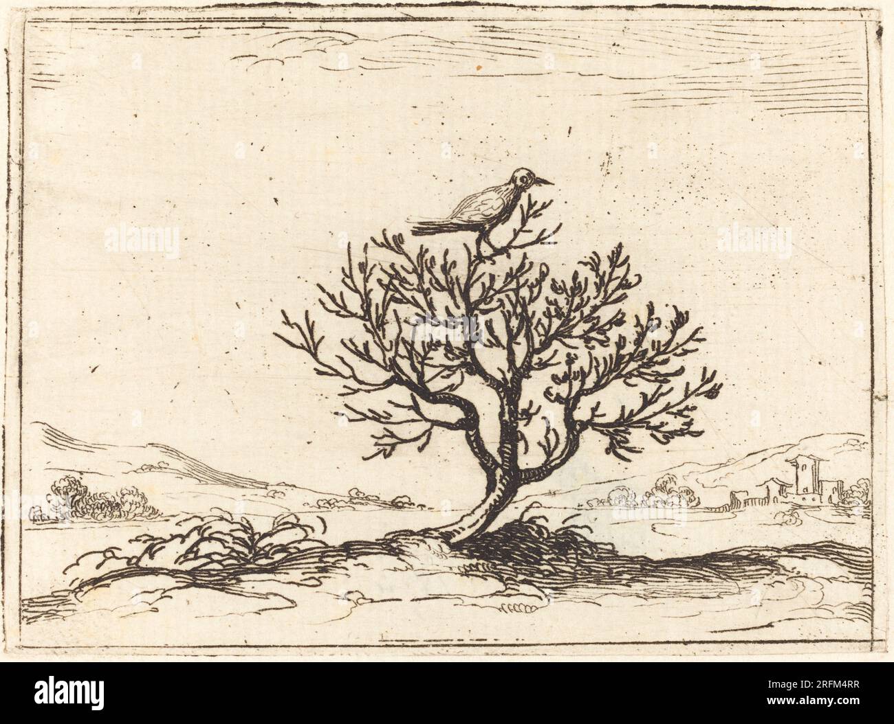 "Jacques Callot, Nightingale in a Bush, 1628, etching, Rosenwald ...