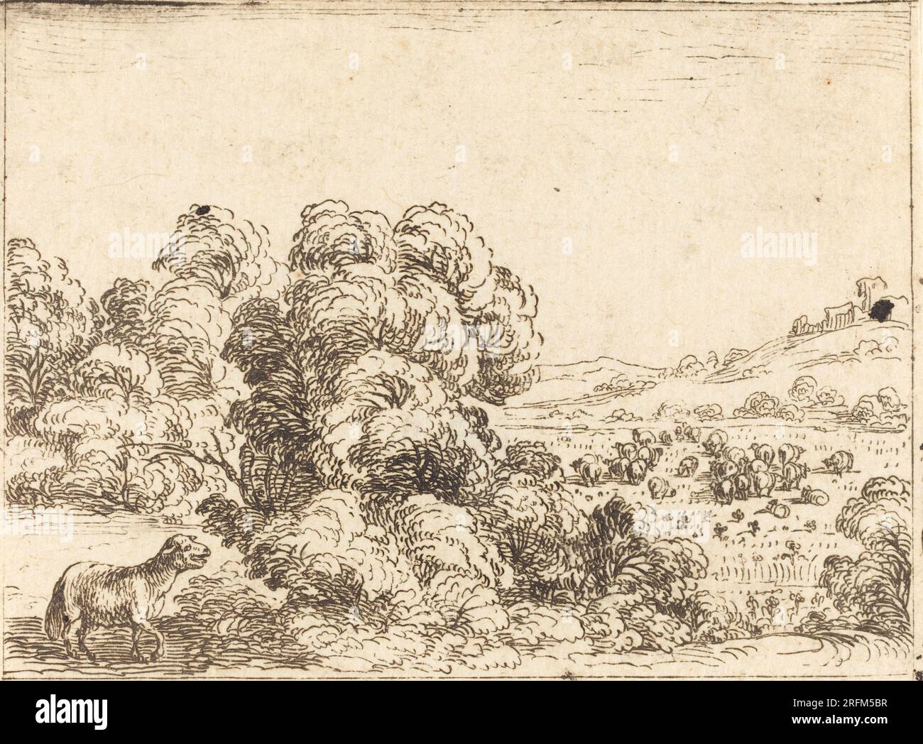 Lamb etching hi-res stock photography and images - Alamy