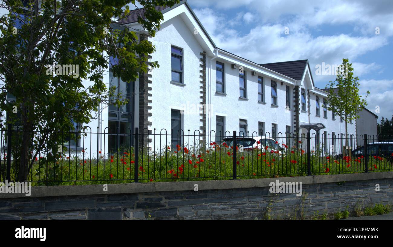 Bro Ddyfi Community Hospital, Powys NHS Stock Photo - Alamy