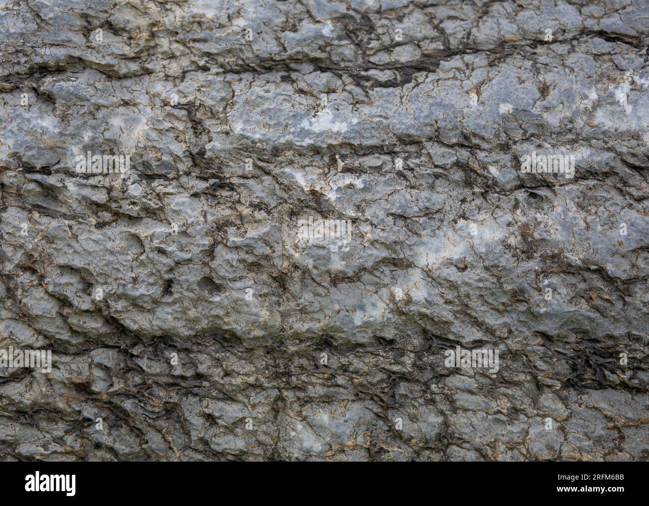 Tileable Rock Texture