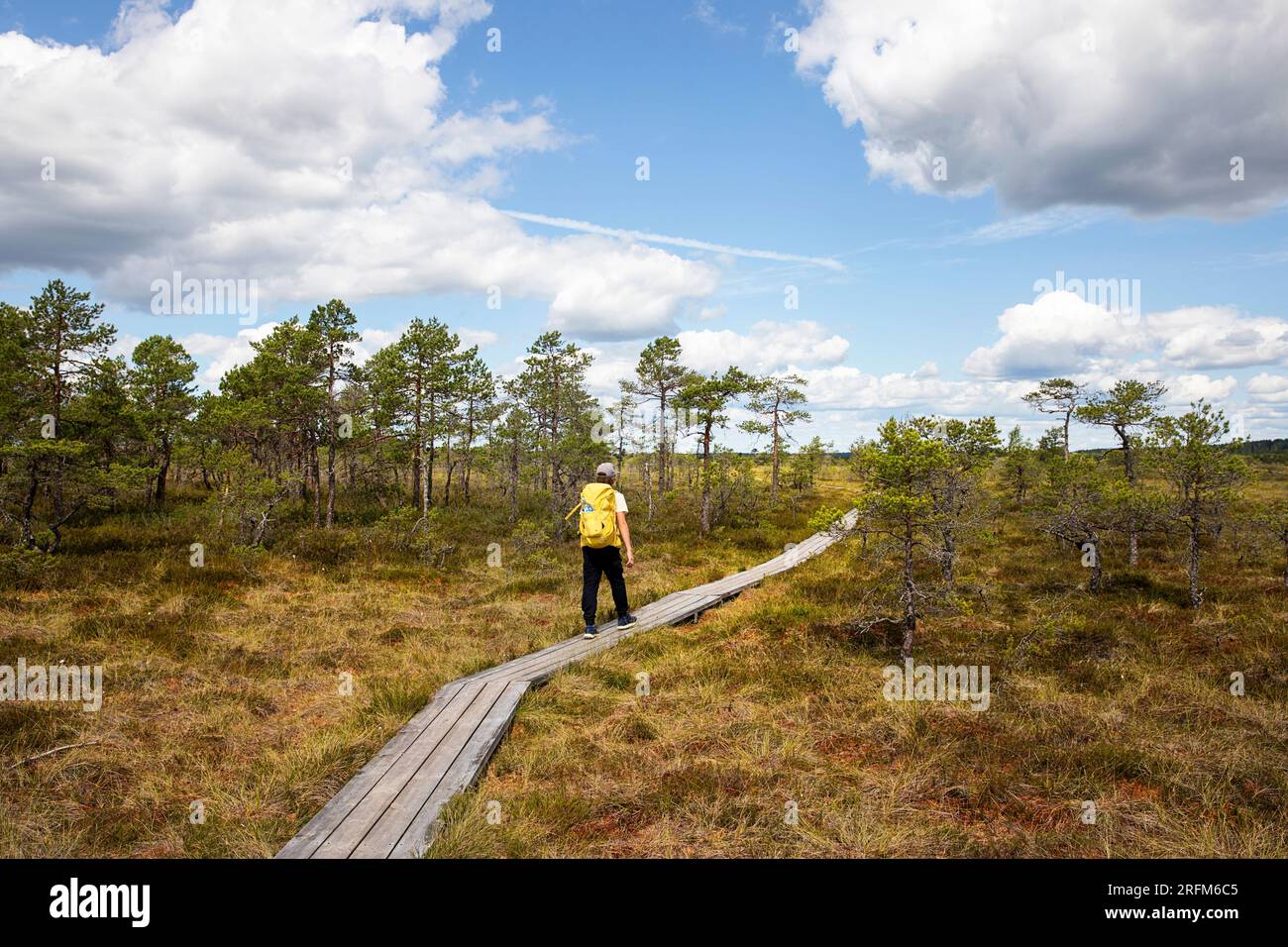 Boy tourist hiking on a spectacular Hüpassaare hiking trail to the ...
