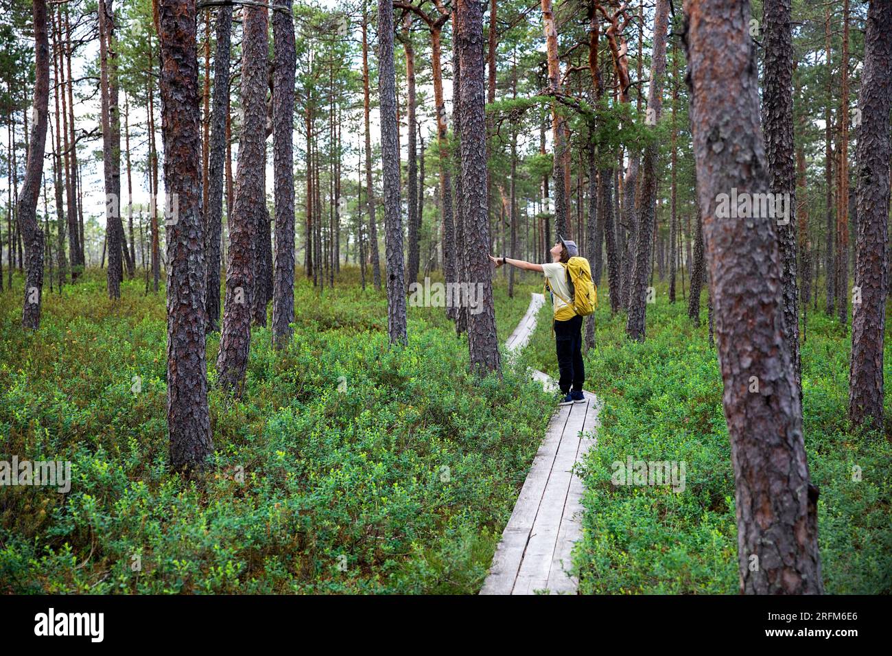 Boy tourist hiking on a spectacular Hüpassaare hiking trail to the ...