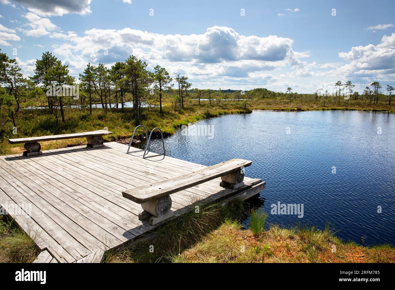 Wooden platform pond hi-res stock photography and images - Alamy