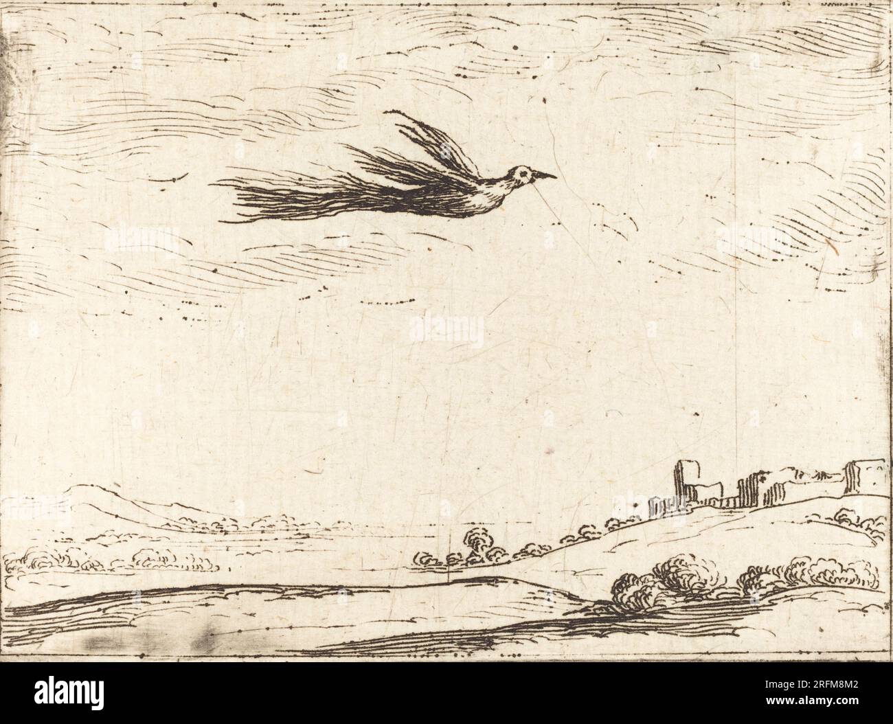 "Jacques Callot, Bird of Paradise, etching, R.L. Baumfeld Collection ...