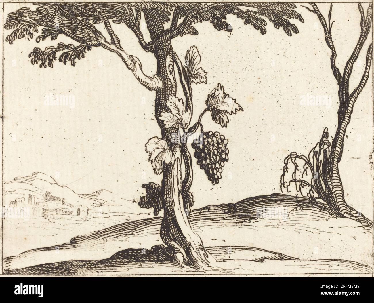"Jacques Callot, Bunch of Grapes, etching, R.L. Baumfeld Collection ...