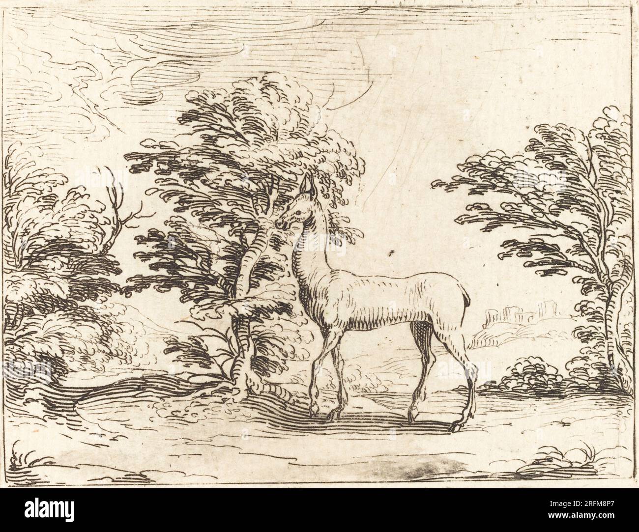 "Jacques Callot, The Doe, etching, R.L. Baumfeld Collection, 1969.15. ...