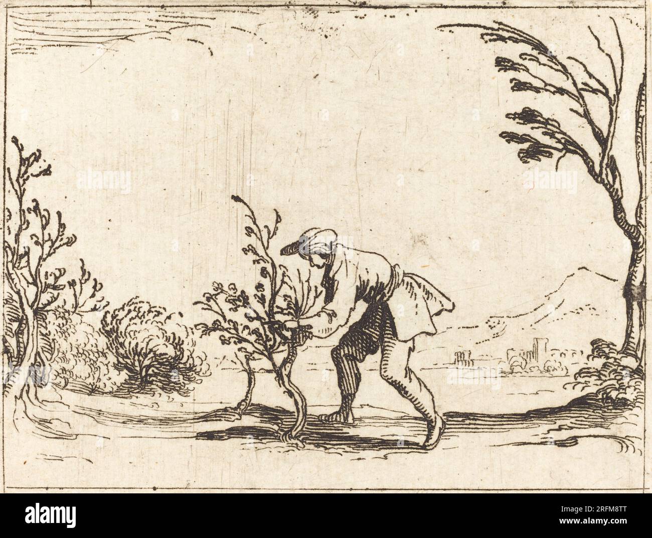 "Jacques Callot, Man Cutting a Balm-Tree, etching, R.L. Baumfeld ...