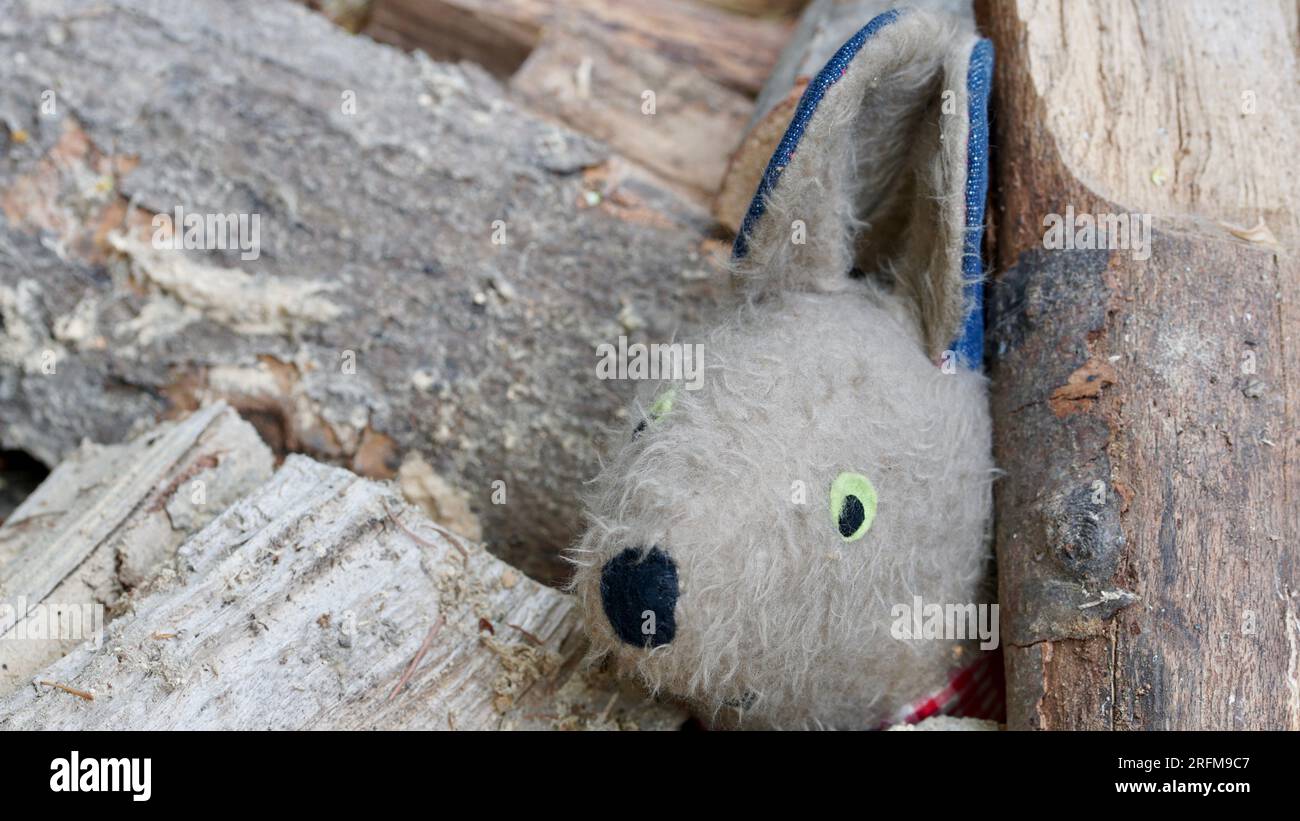 An old toy mouse in a pile of wood Stock Photo - Alamy
