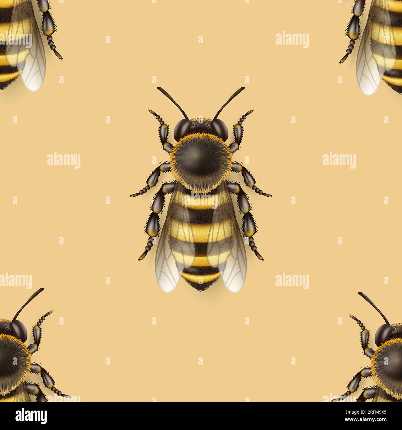 Queen Honey Bee Drawing