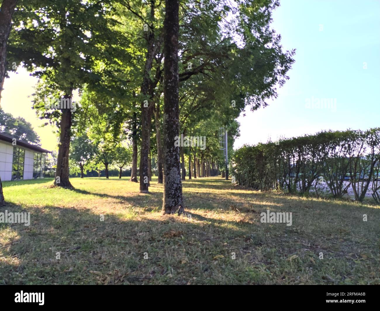 Garden hedge rows hi-res stock photography and images - Alamy