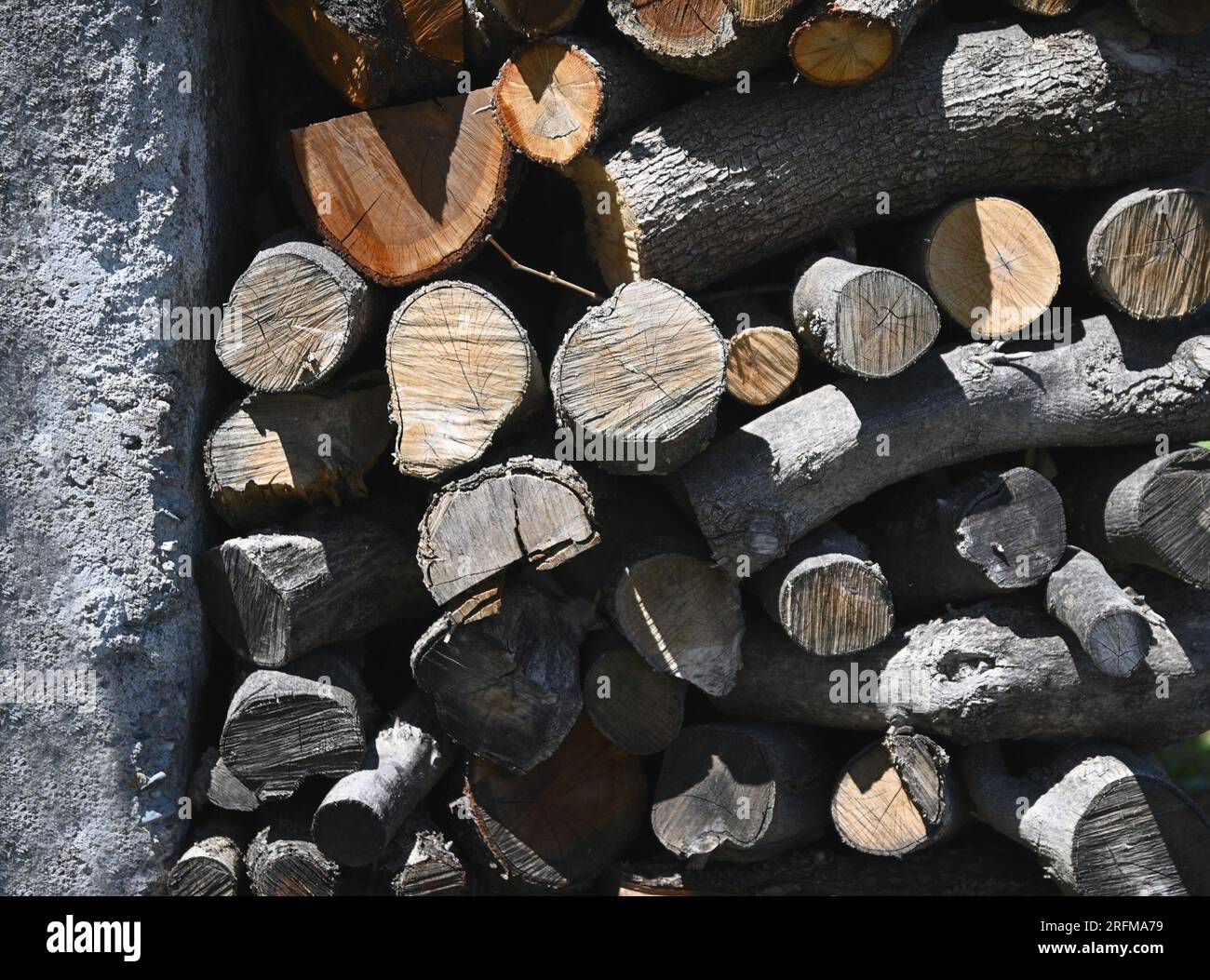 Oak firewood stack in the countryside of Savoca in Sicily, Italy Stock ...