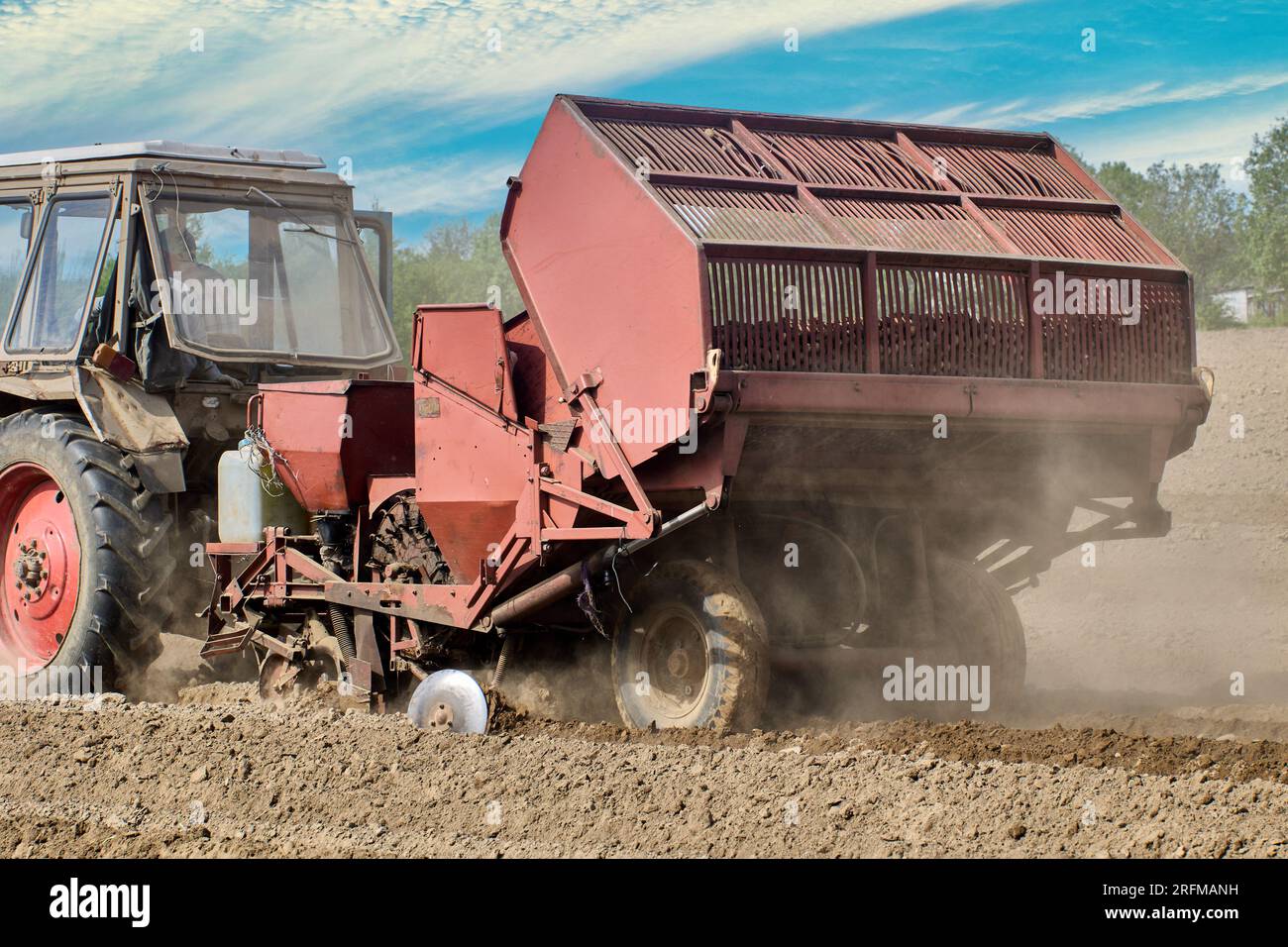 Planting potatoes in an agricultural farmer field during spring sowing ...