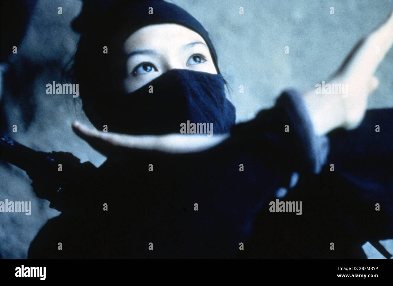 Crouching Tiger, Hidden Dragon Wo hu cang long Year : 2000 China ...