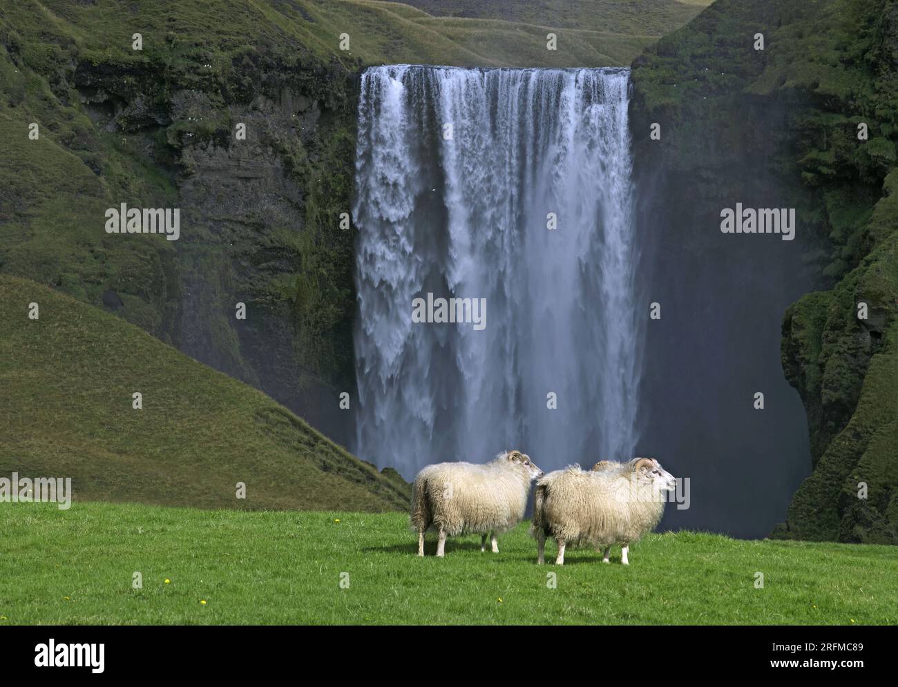 Islande, Skogar, la cascade de Skogafoss / Iceland, Skogar the ...
