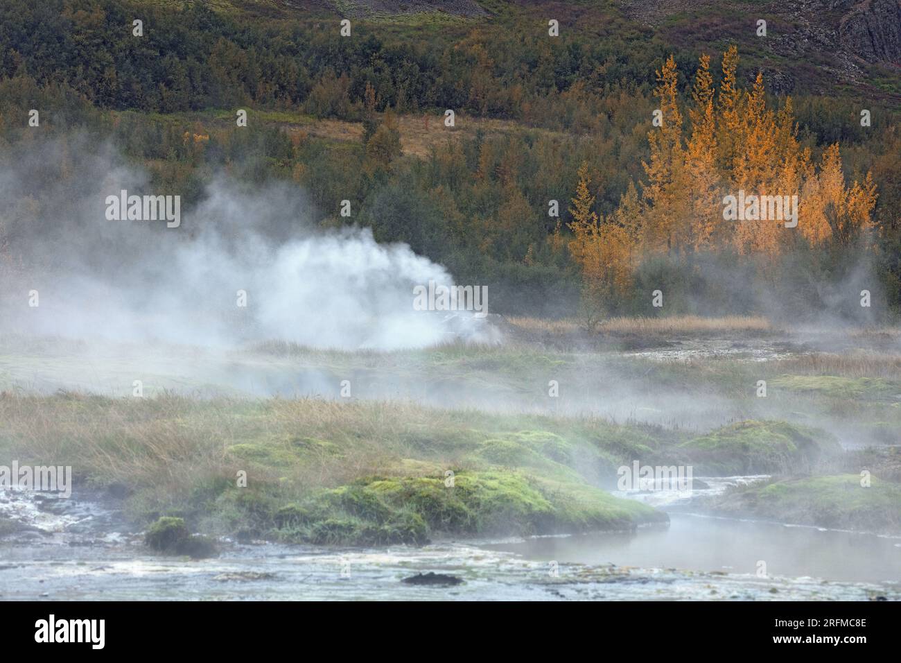 Islande, Le champ géothermique de Geysir, paysage, vapeur chaude et ...