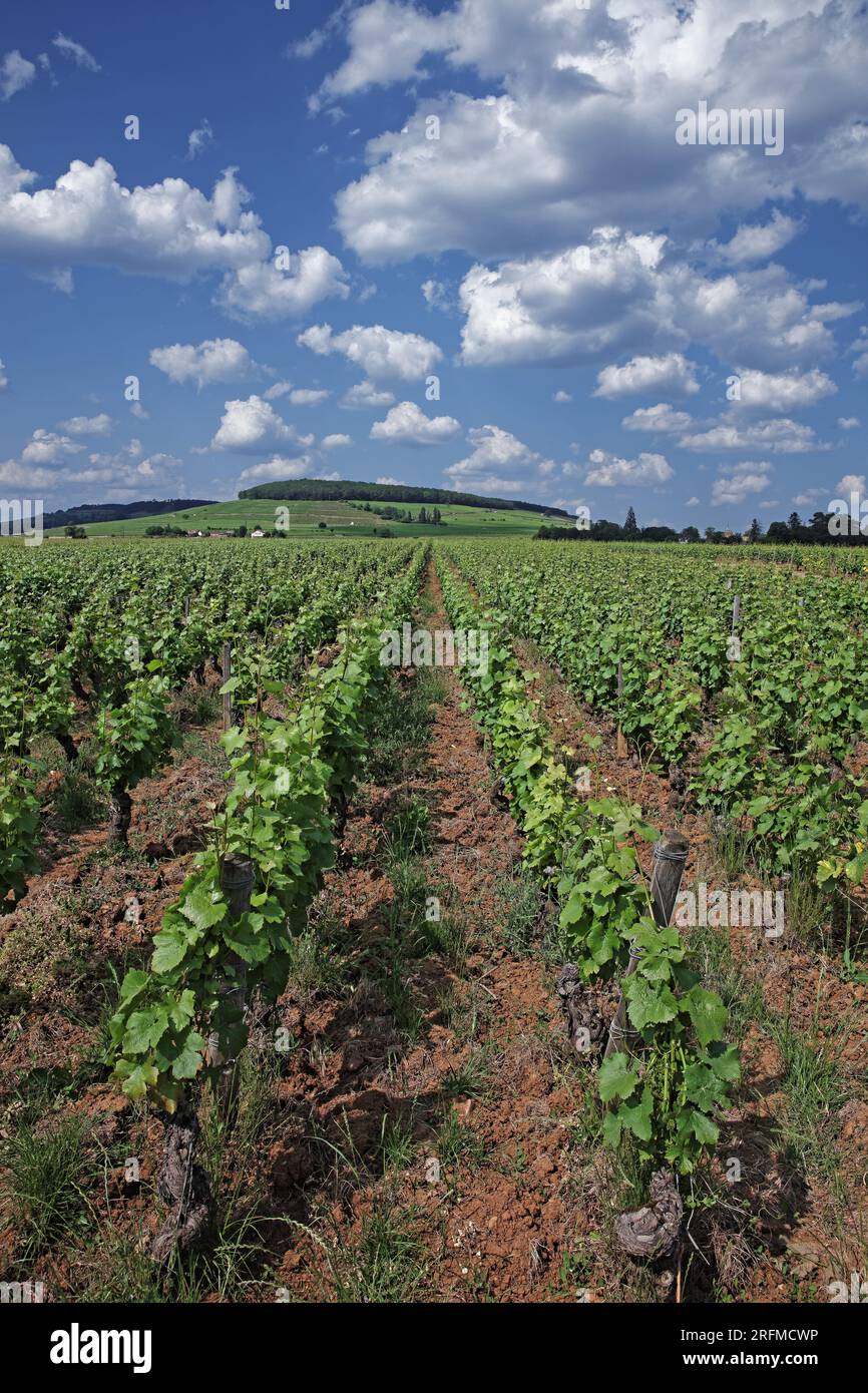 Village of aloxe corton hi-res stock photography and images - Alamy