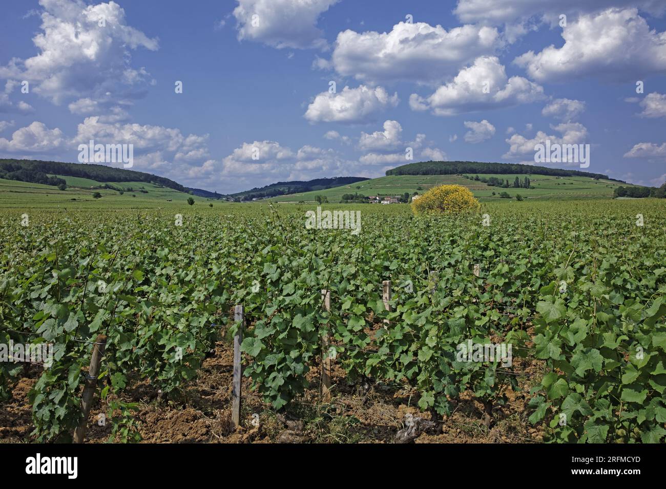 Village of aloxe corton hi-res stock photography and images - Alamy