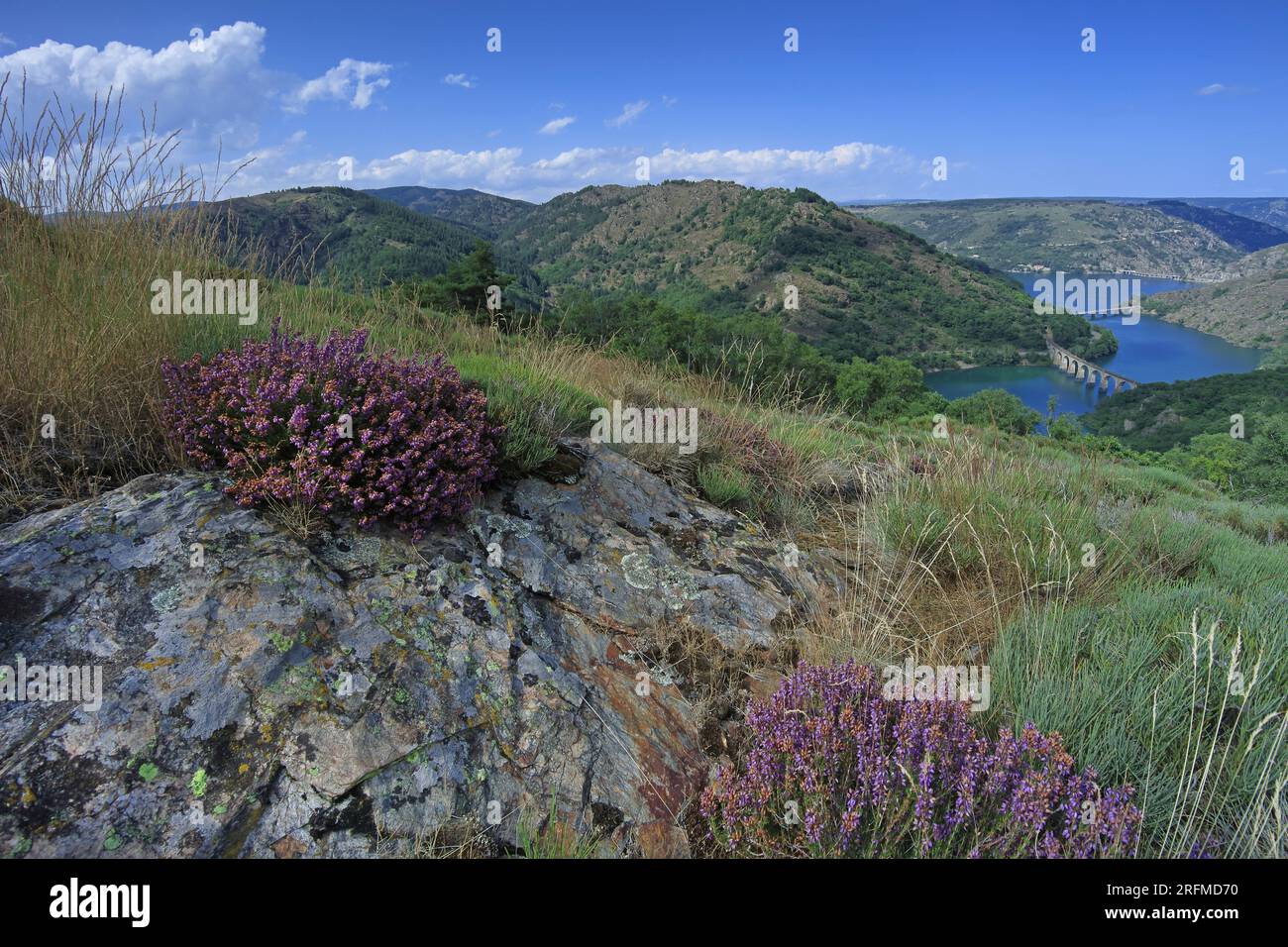 France, Lozère, Villefort, the lake, hydraulic reservoir, Altier ...