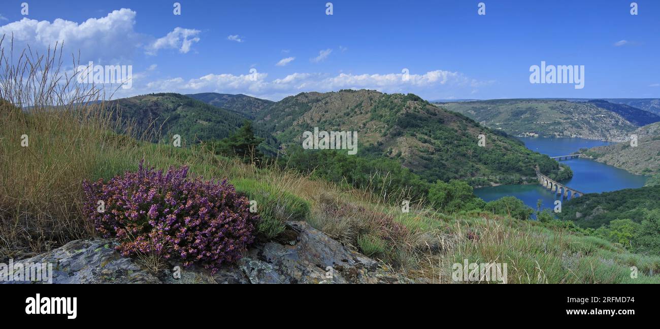 France, Lozère, Villefort, the lake, hydraulic reservoir, Altier ...