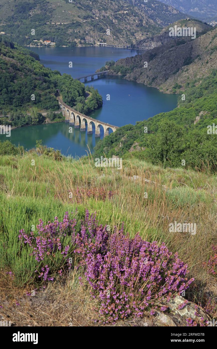France, Lozère, Villefort, the lake, hydraulic reservoir, Altier ...