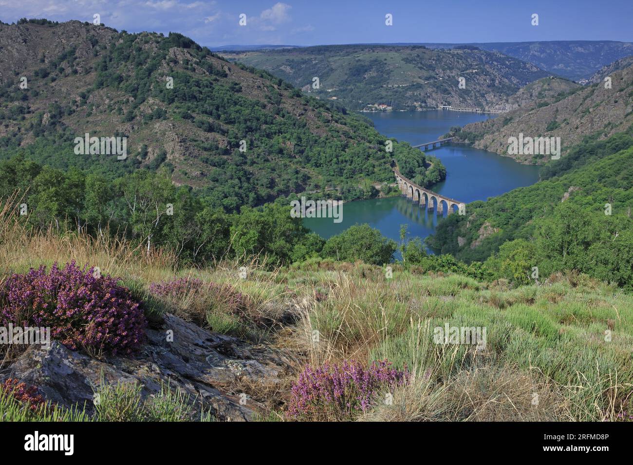 France, Lozère, Villefort, the lake, hydraulic reservoir, Altier ...