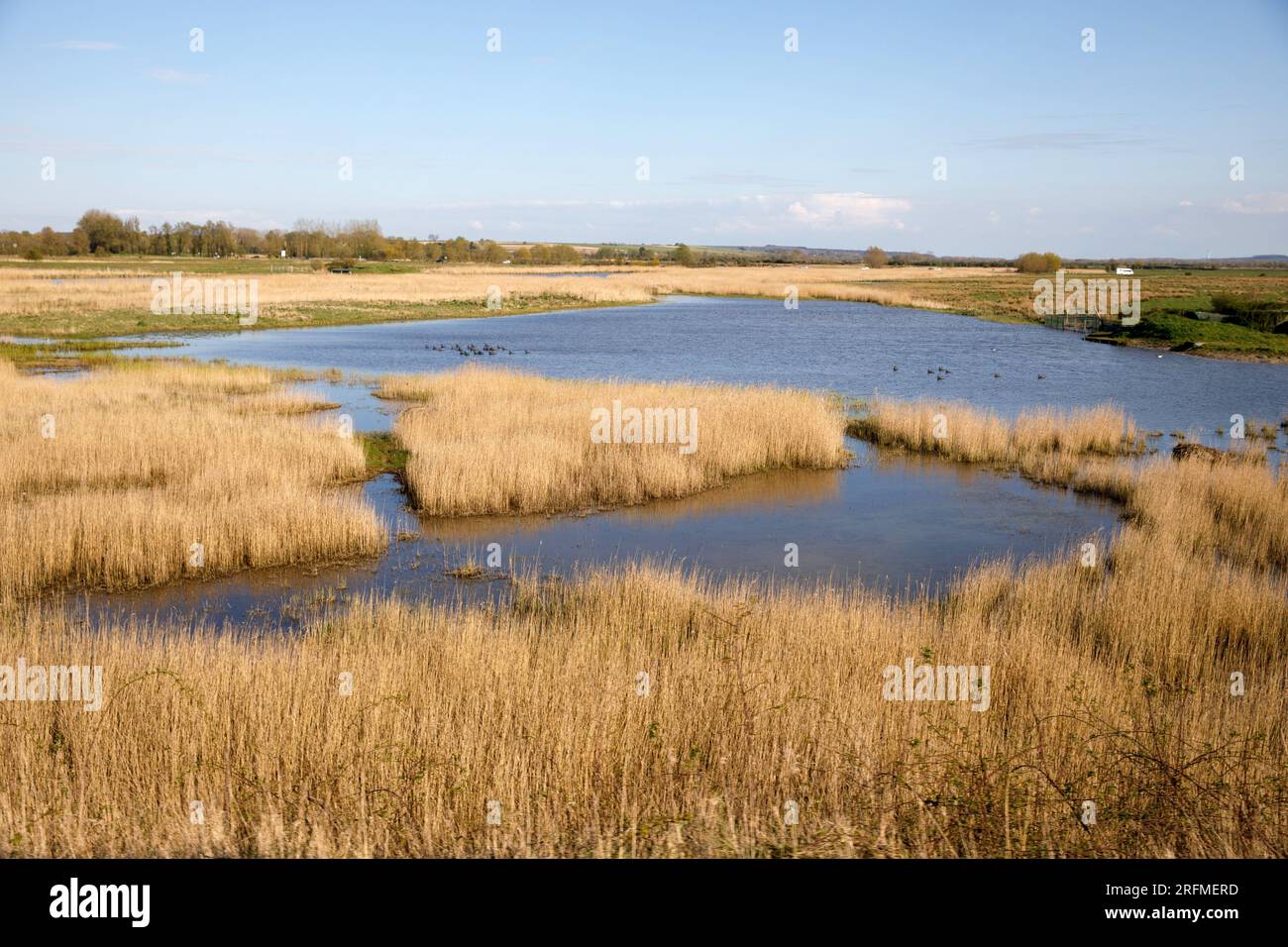 France, Hauts de France region, Somme, Baie de Somme, Saint-Valery-sur ...