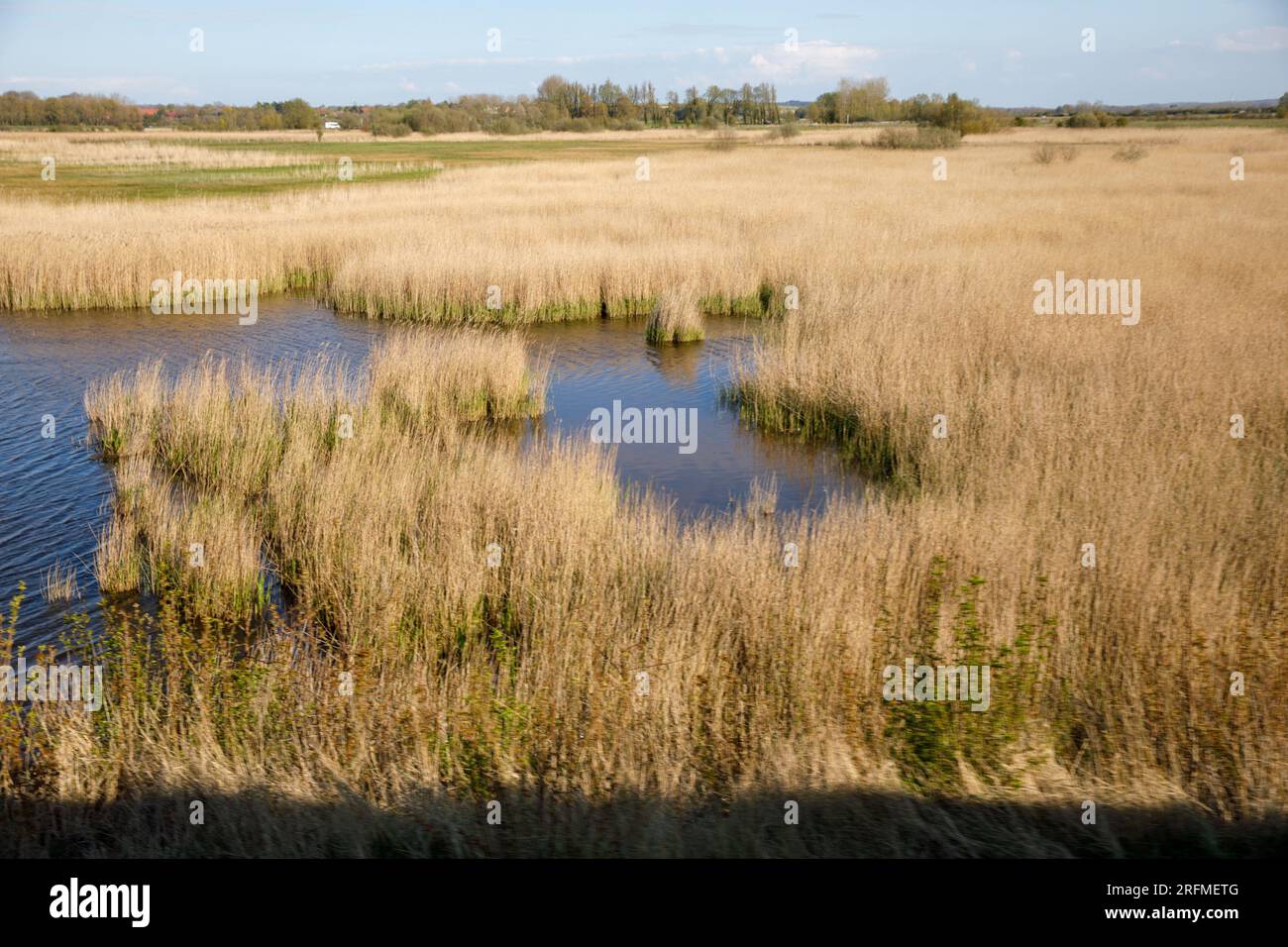 France, Hauts de France region, Somme, Baie de Somme, Saint-Valery-sur ...
