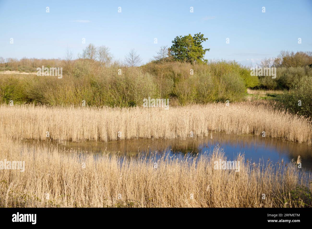 France, Hauts de France region, Somme, Baie de Somme, Saint-Valery-sur ...