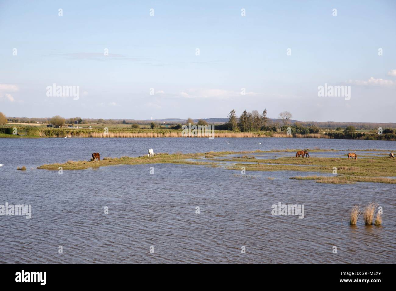 France, Hauts de France region, Somme, Baie de Somme, Saint-Valery-sur ...