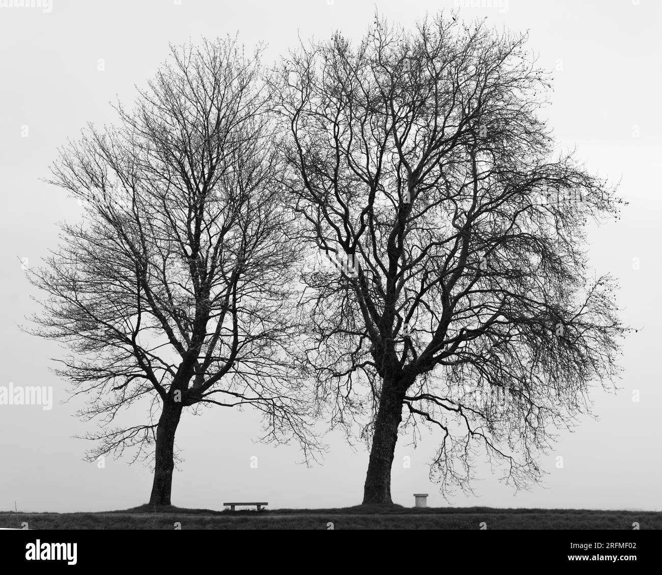 France, Hauts de France region, Somme, Baie de Somme, Saint-Valery-sur ...