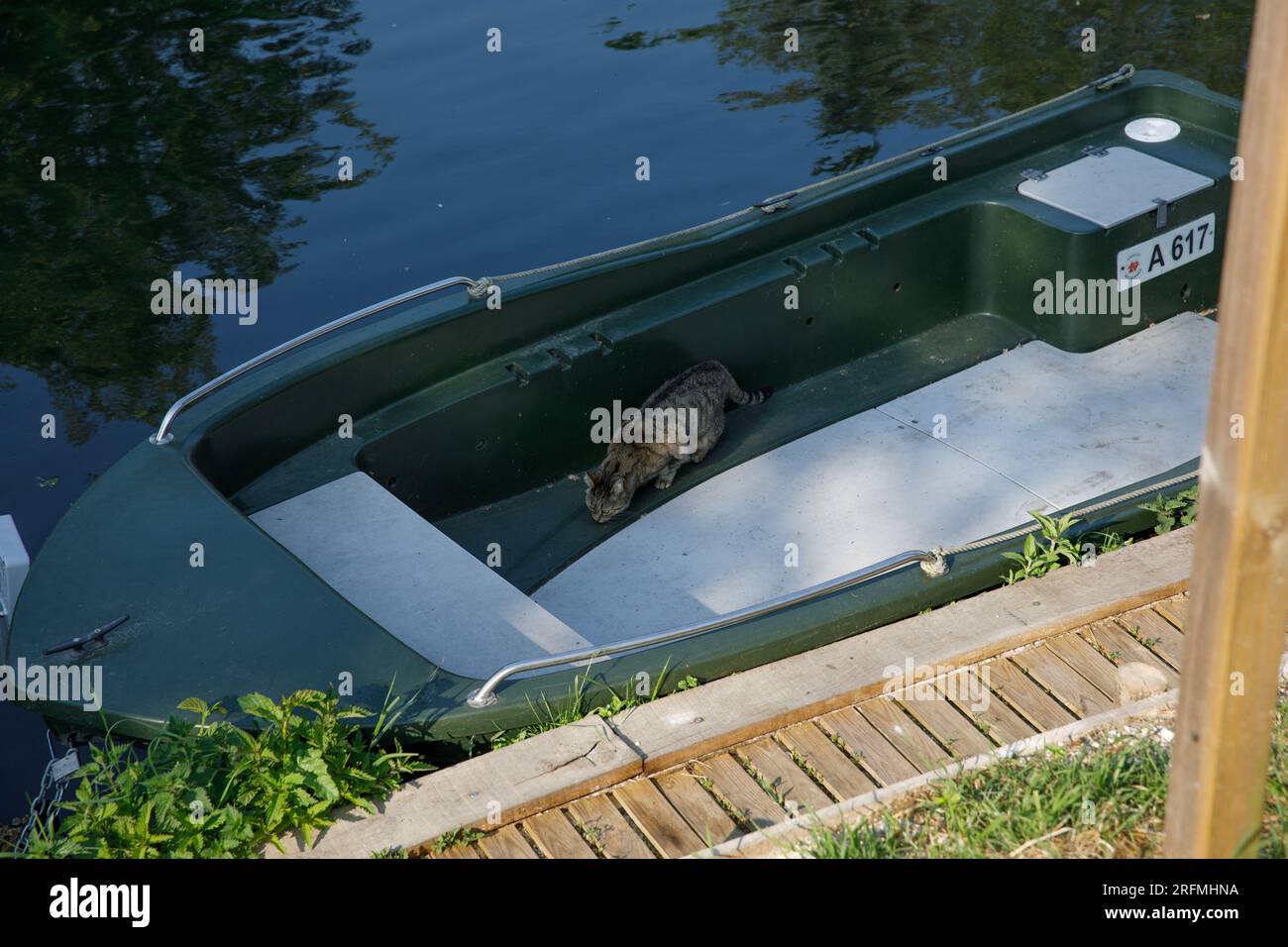 France, Hauts-de-France region, Somme department, Amiens, the ...