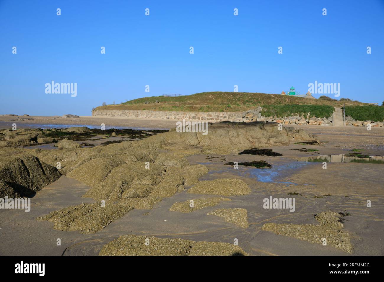 France, Normandy region, Manche department, Val de Saire, Réville ...