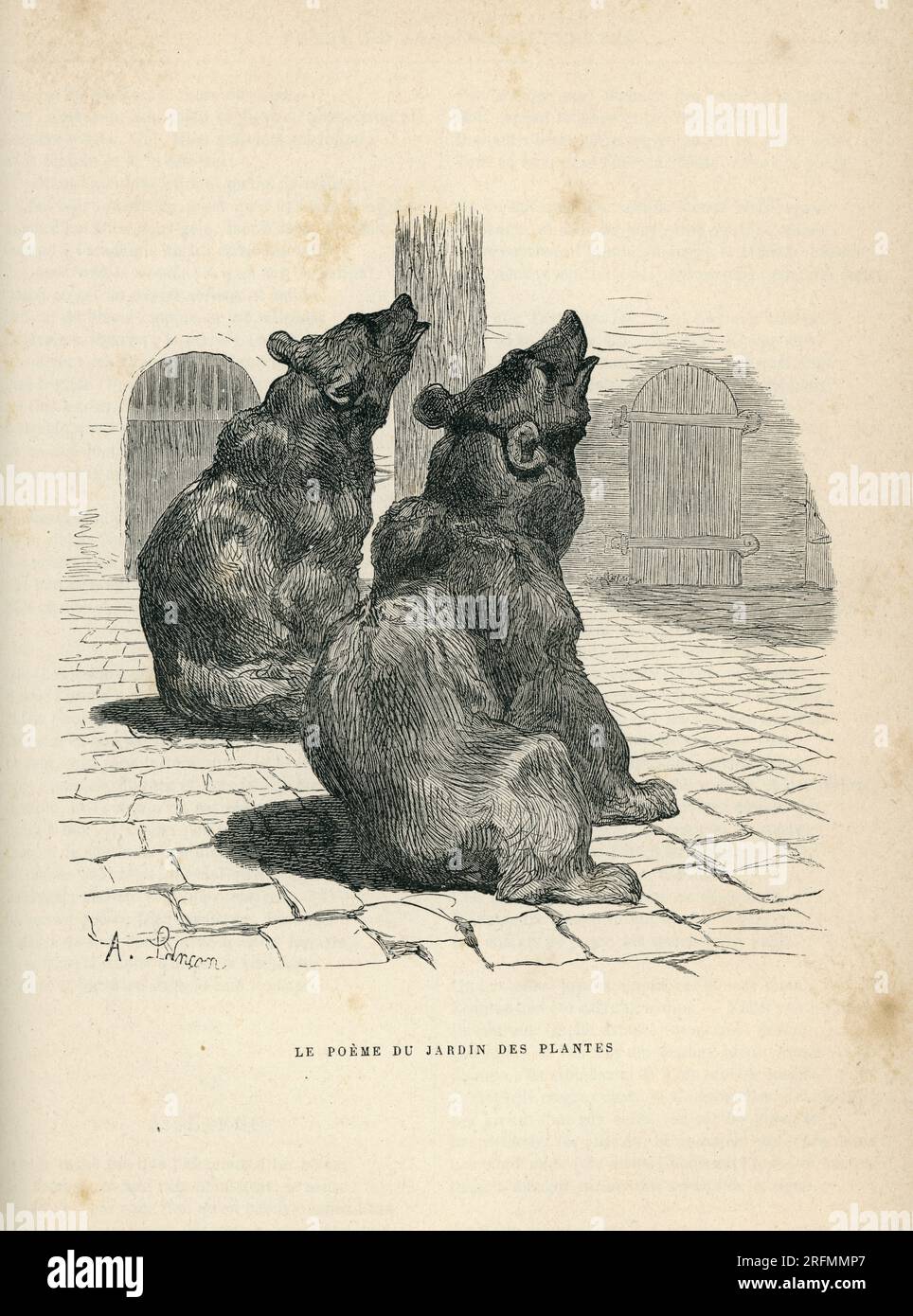 Illustration of Victor Hugo's "L'art d'être grand-père", illustrating ...