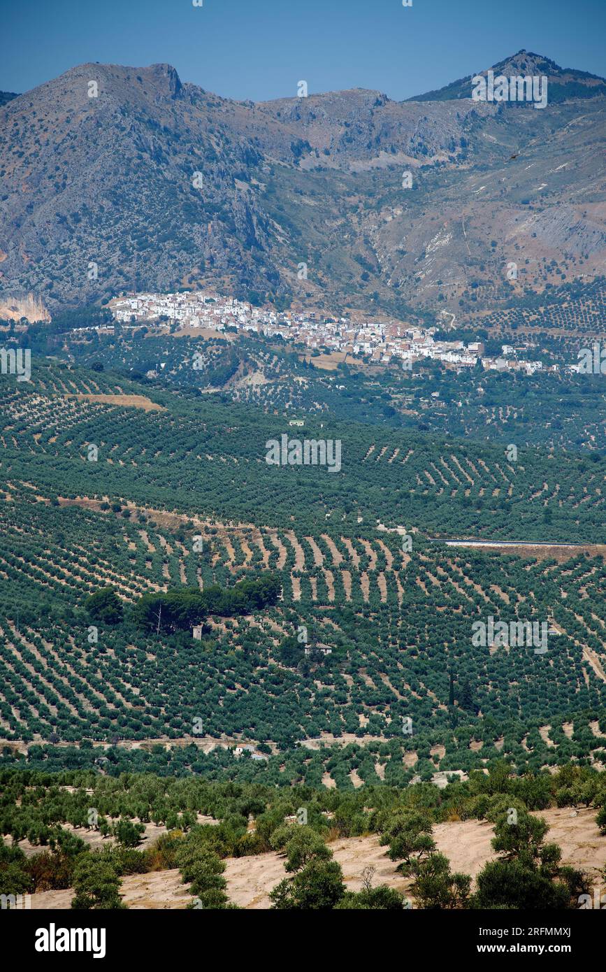 Monte natin hi-res stock photography and images - Alamy