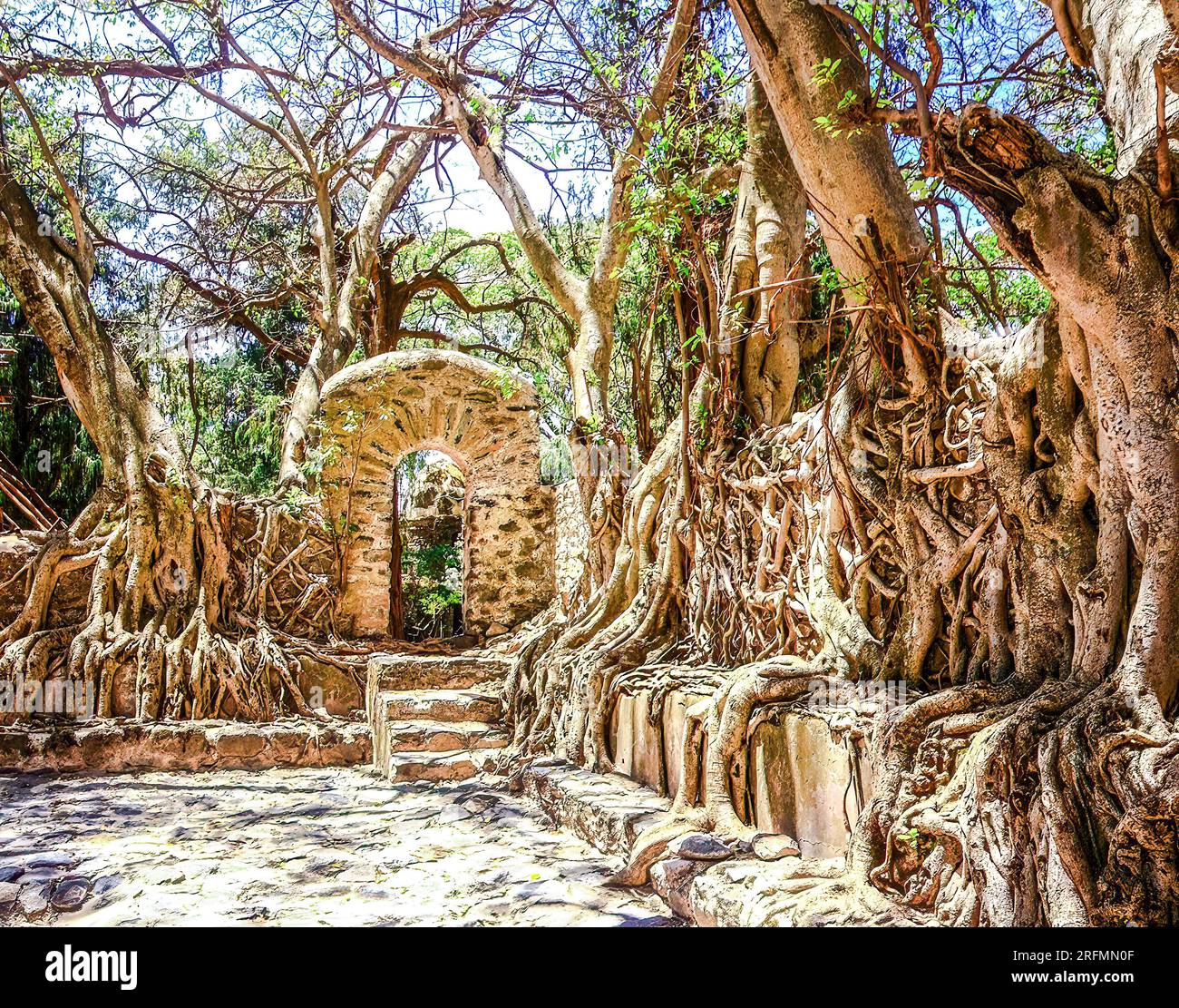 Gondar aerial hi-res stock photography and images - Alamy