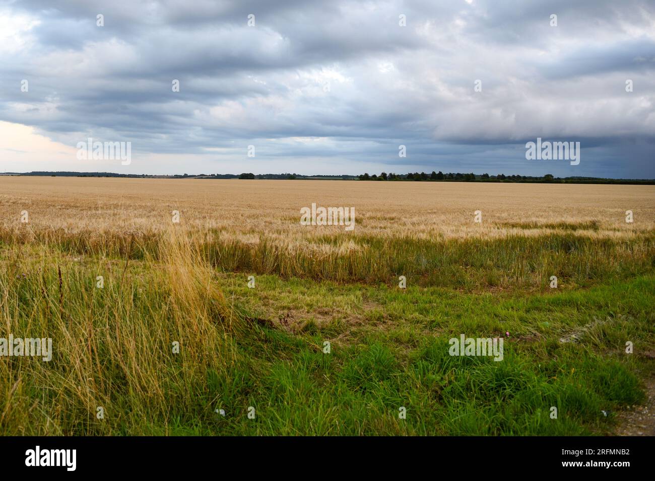 Luke howard clouds hi-res stock photography and images - Alamy