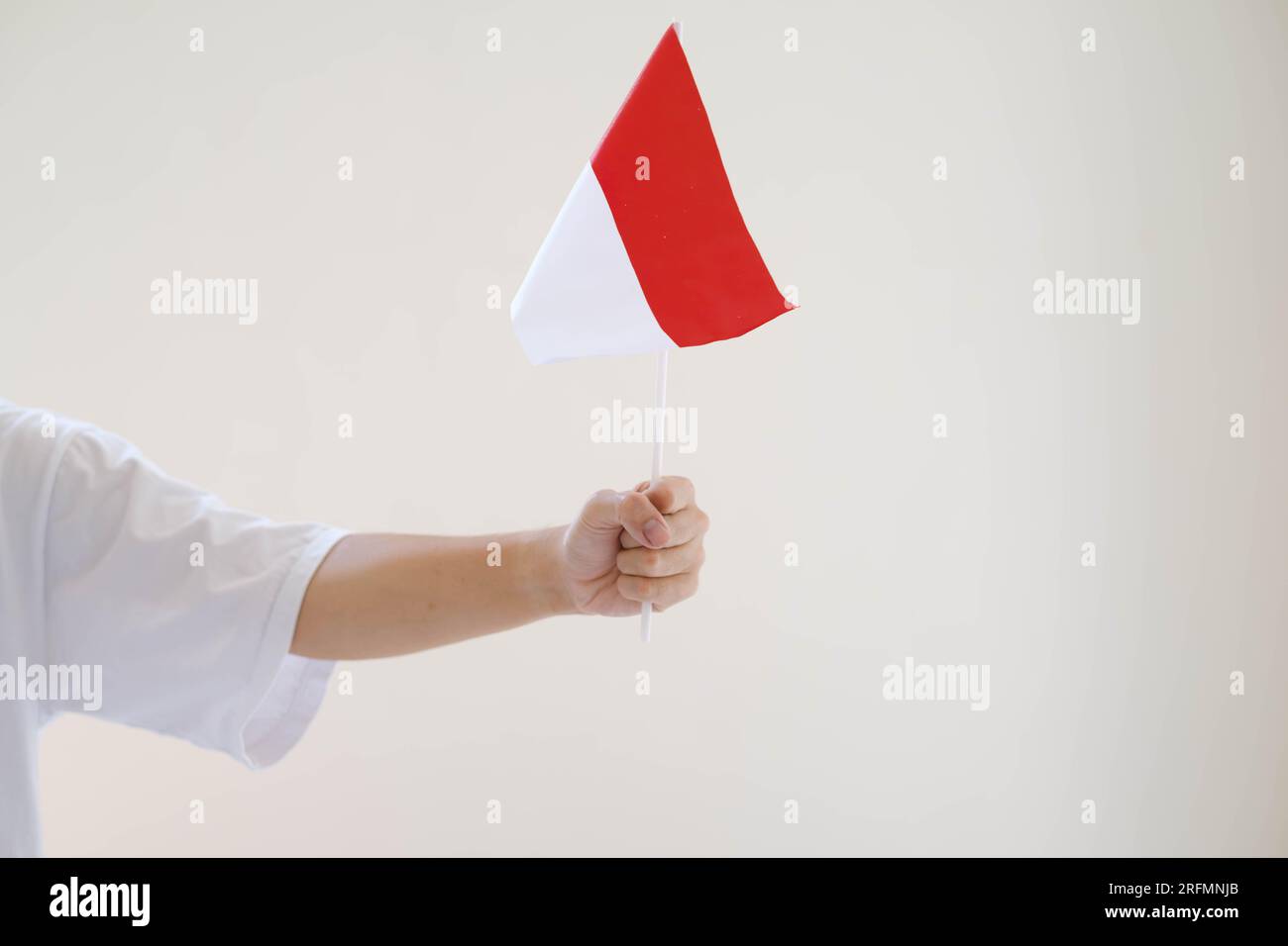 A hand of man wearing white T-Shirt is holding Bendera Indonesia or ...