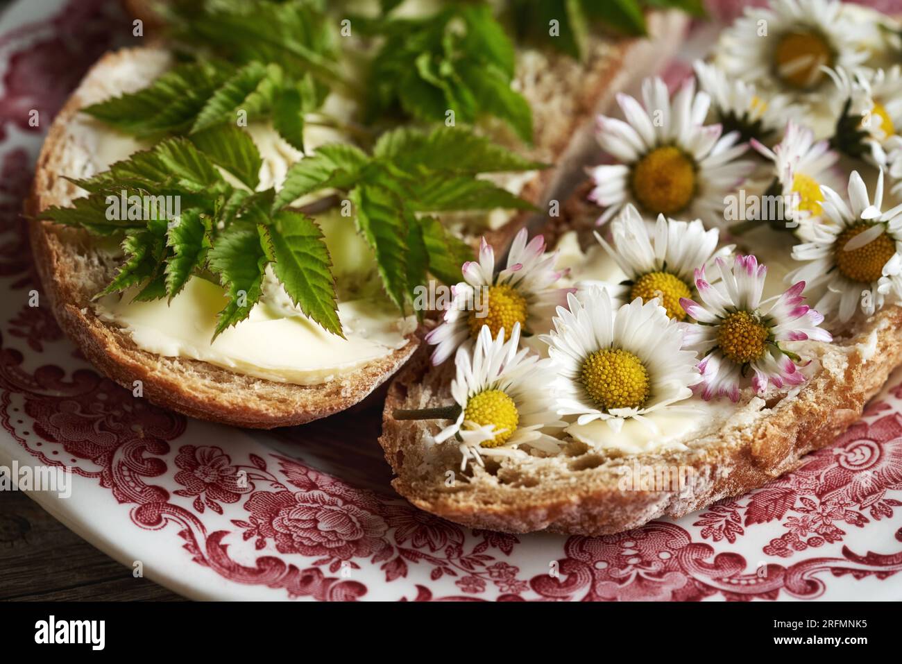 Wild edible plants on slices of sourdough bread - common daisy and ...