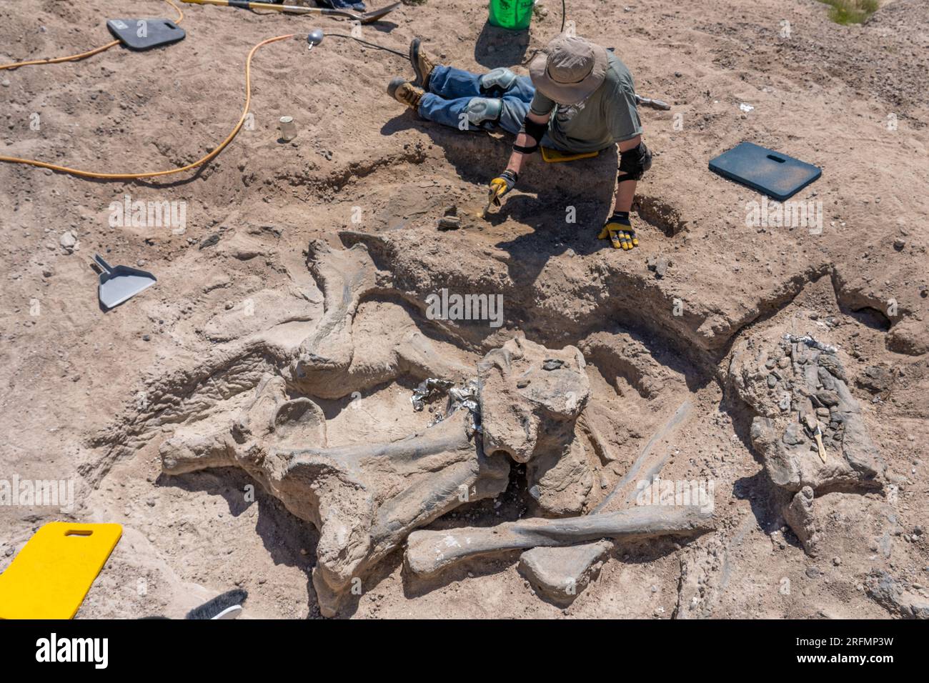Dinosaur bone fossils being excavated in the Burpee Dinosaur Quarry in ...