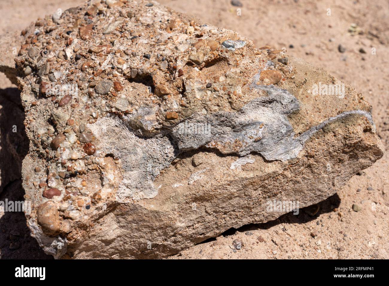 Dinosaur bone fossil in a rock in the Burpee Dinosaur Quarry in the ...