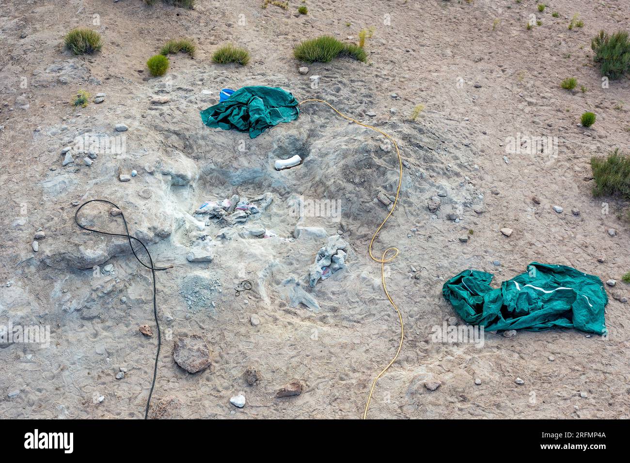 Dinosaur bones excavated in the Morrison Formation in the Burpee ...