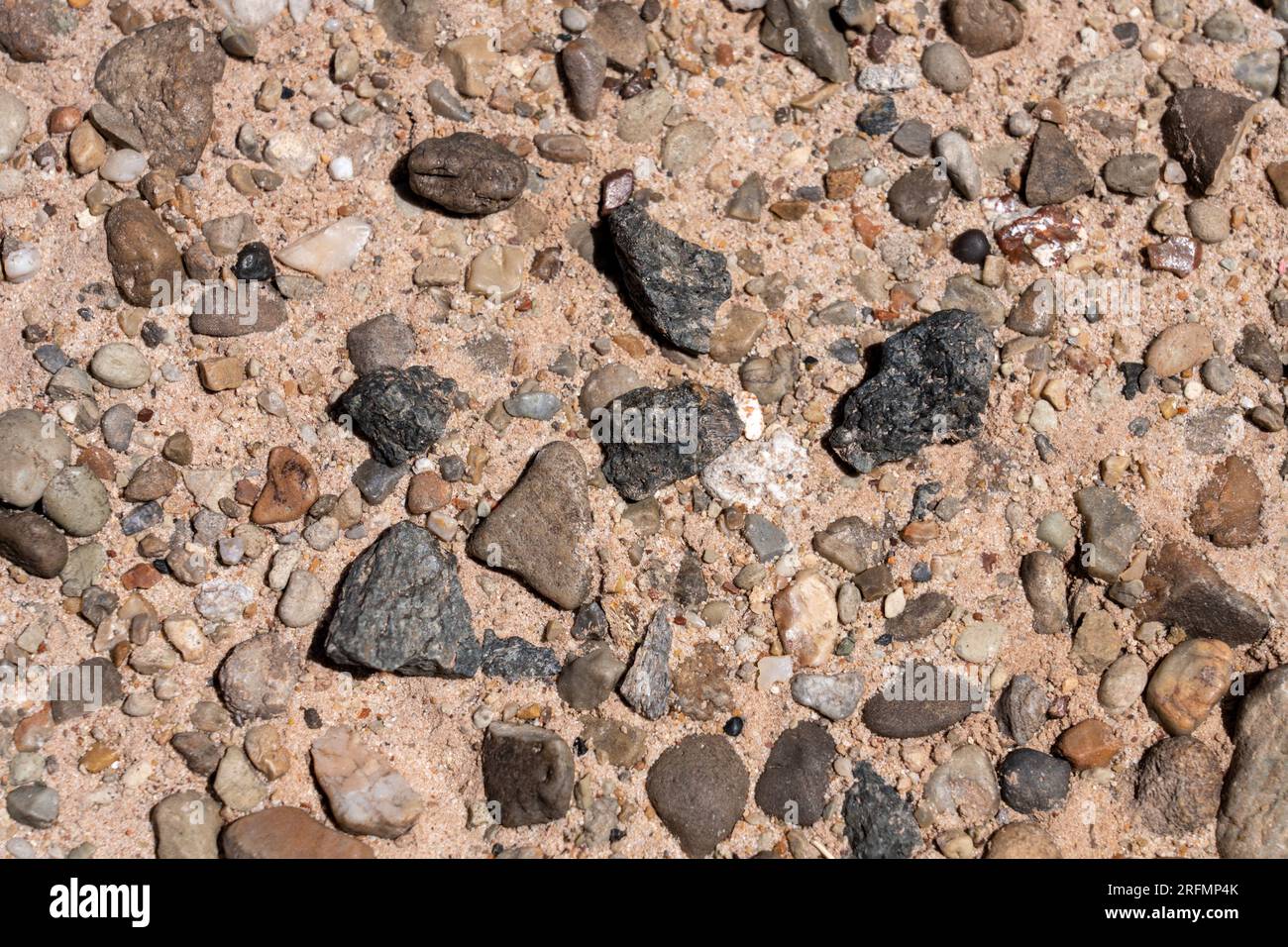 Dinosaur bone fossils on the ground in the Burpee Dinosaur Quarry in ...