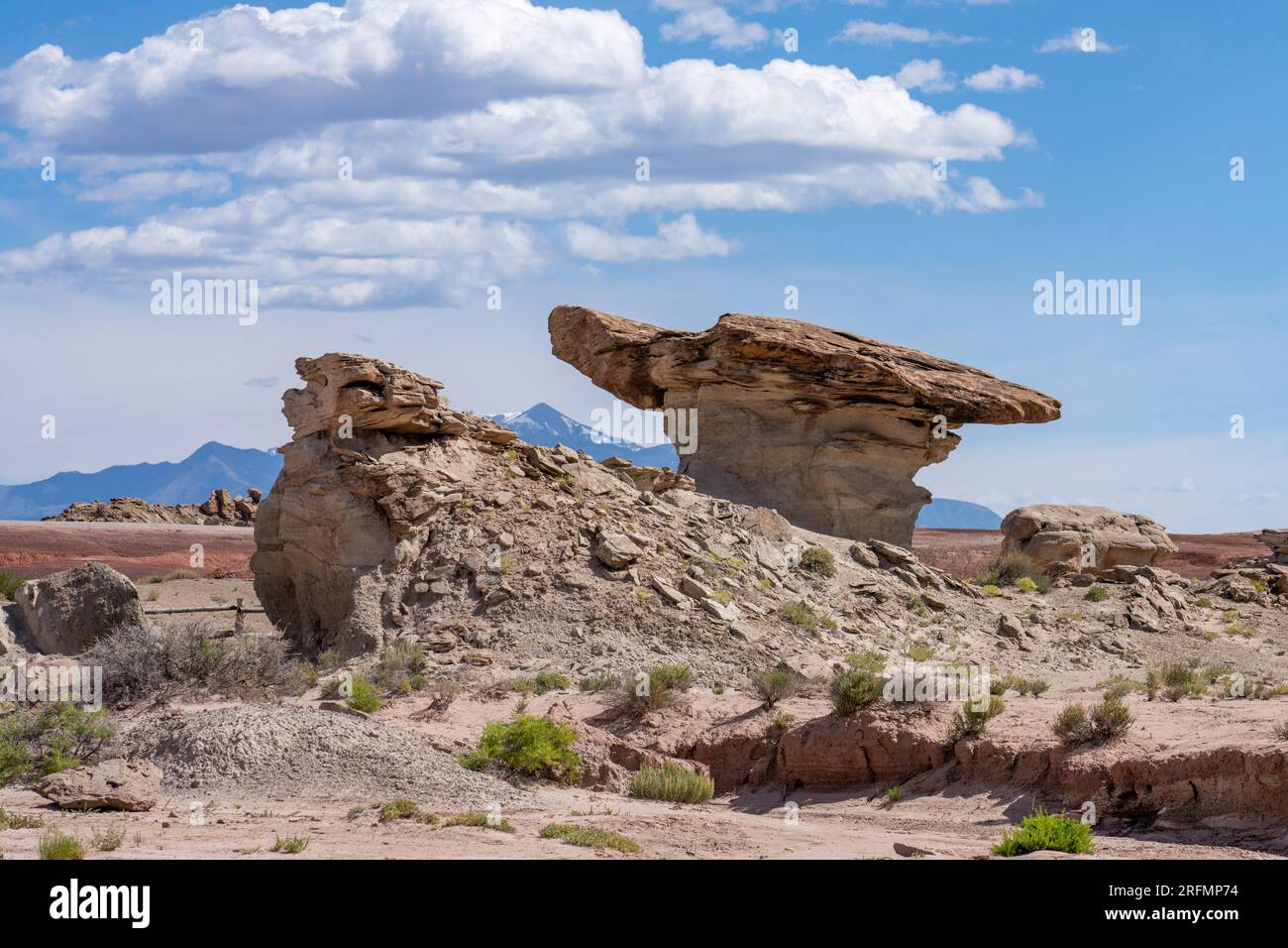 Burpee dinosaur hi-res stock photography and images - Alamy